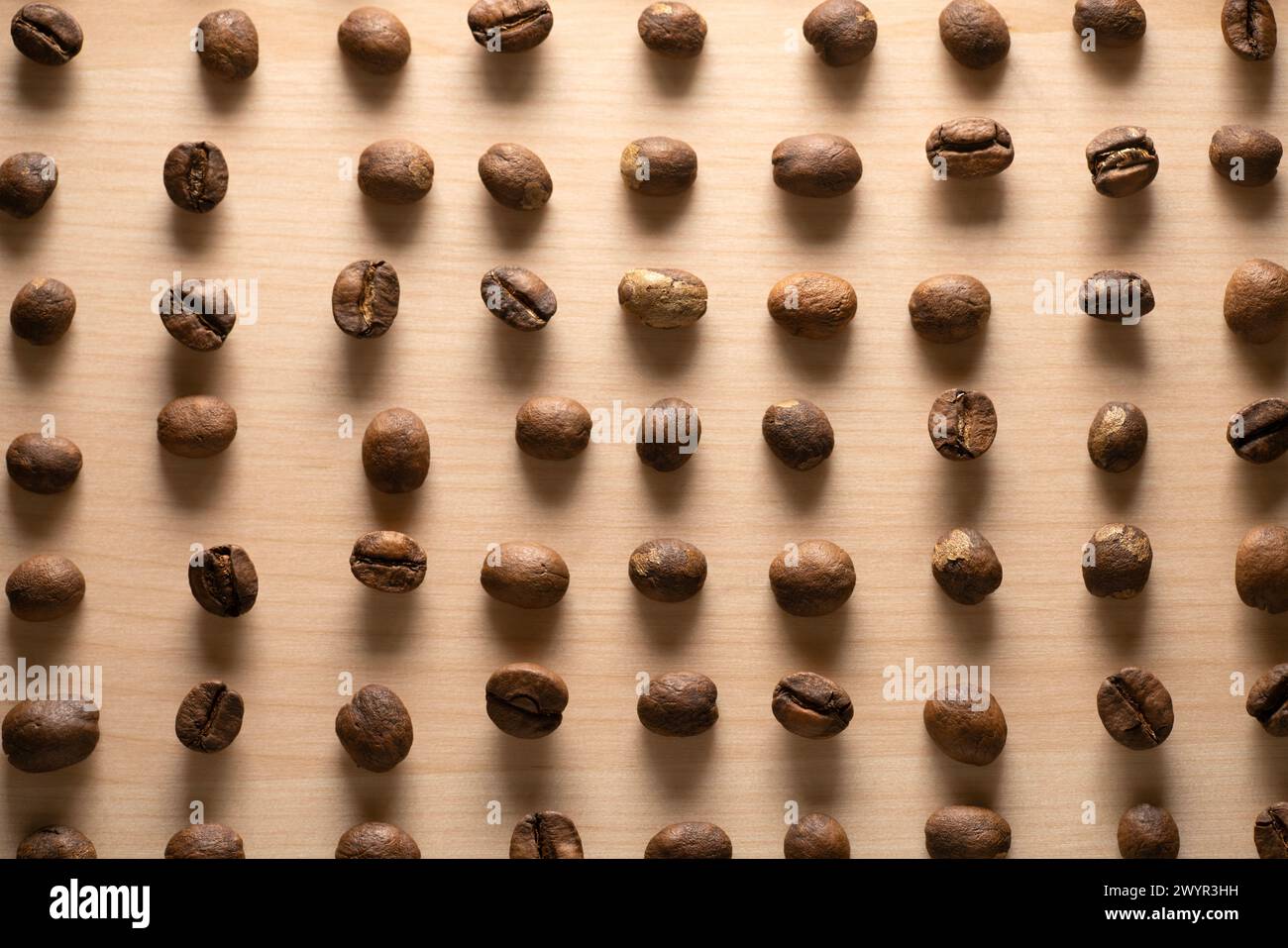 Rows and columns of coffee beans lined up Stock Photo - Alamy