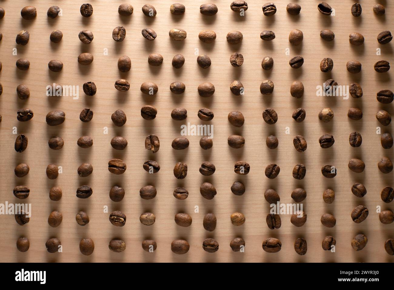 Rows and columns of coffee beans on light wood surface Stock Photo - Alamy