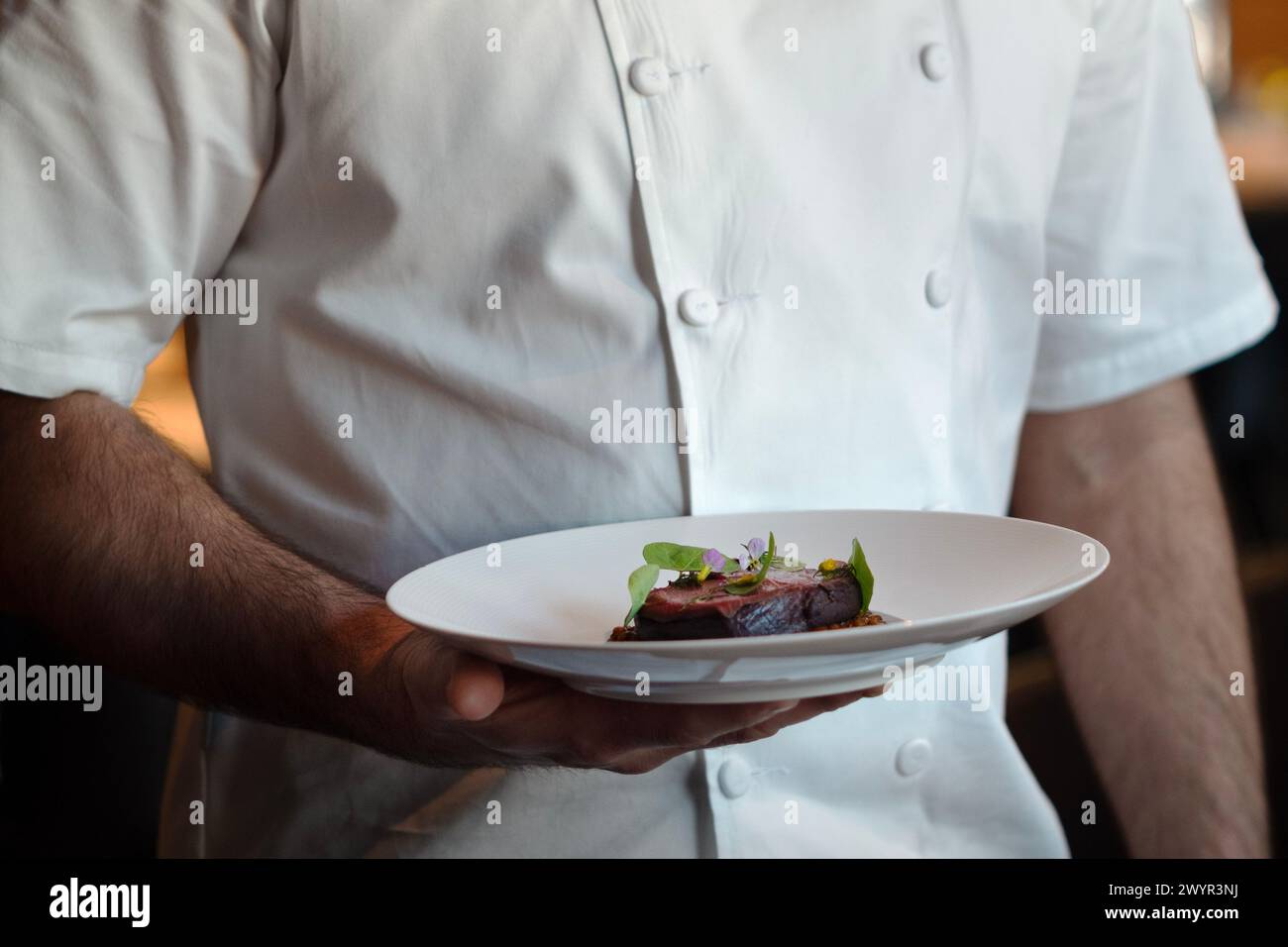 Chef carrying plate with meat dish Stock Photo - Alamy