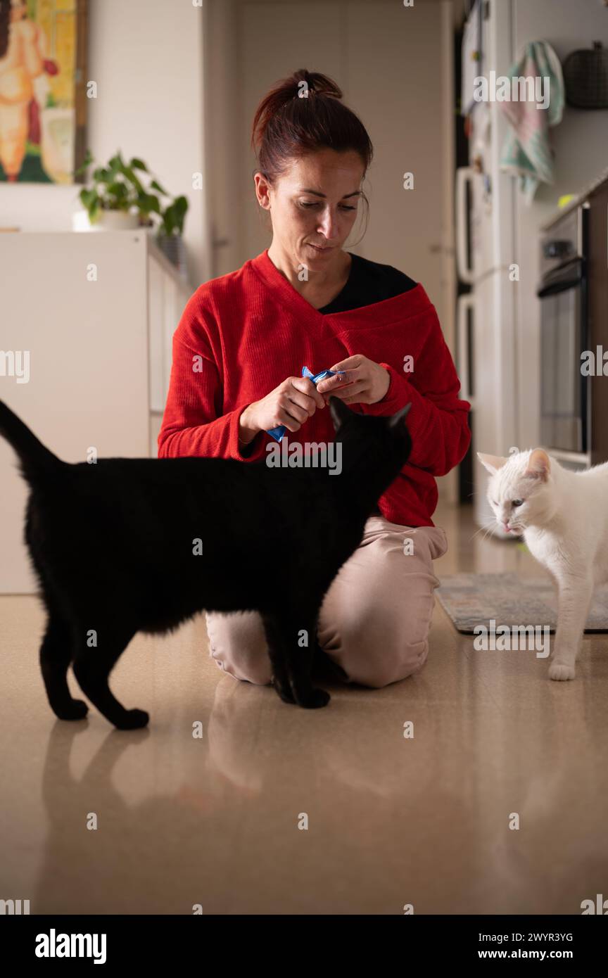 Woman cute cat home hi-res stock photography and images - Alamy