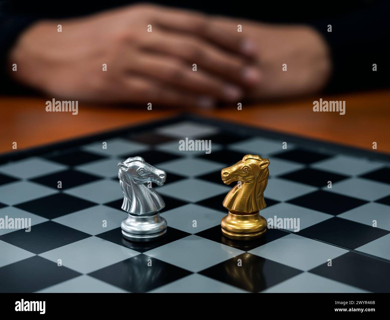 The confront between golden and silver horses, knight chess piece ...