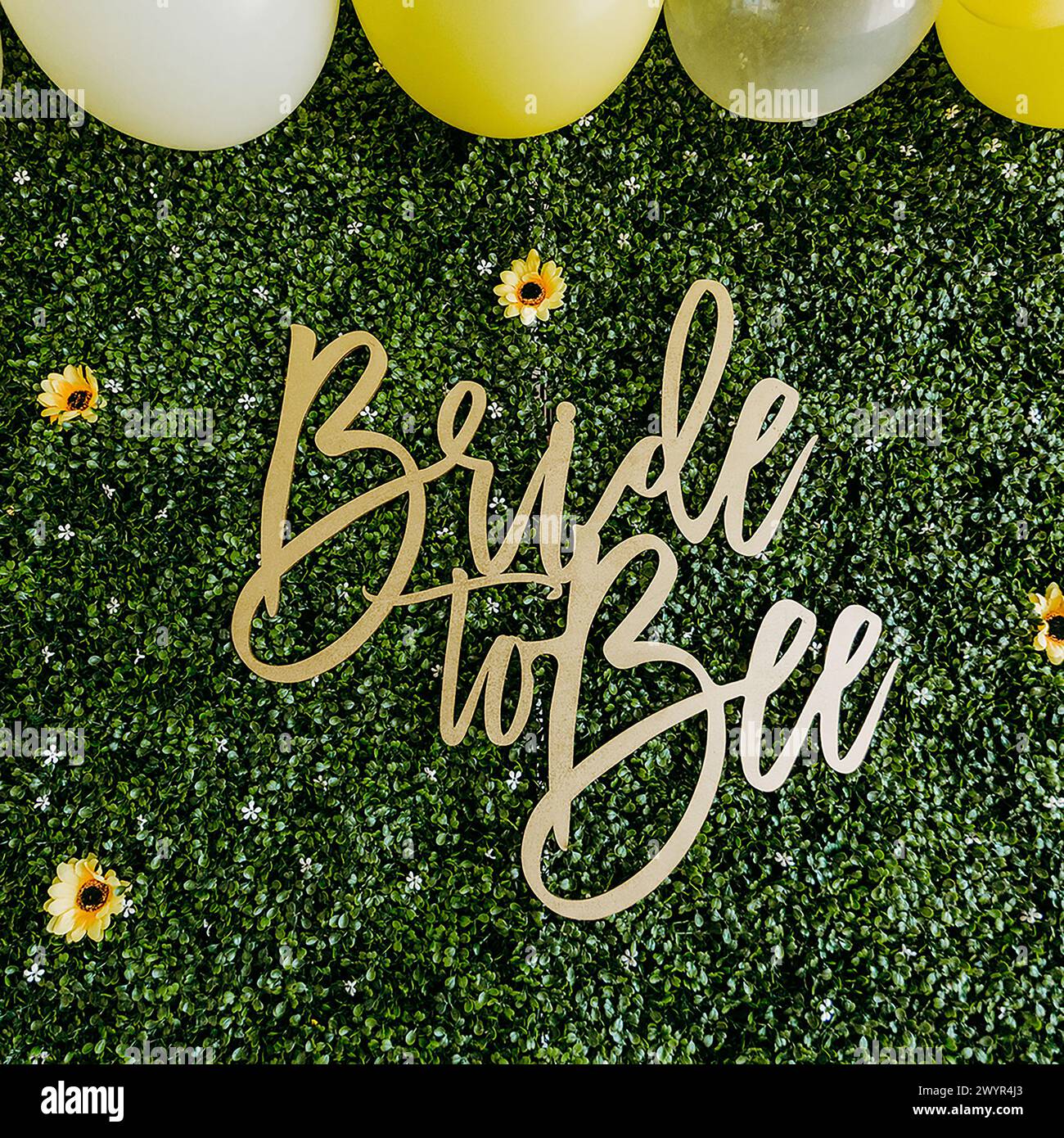 New bride hi-res stock photography and images - Alamy