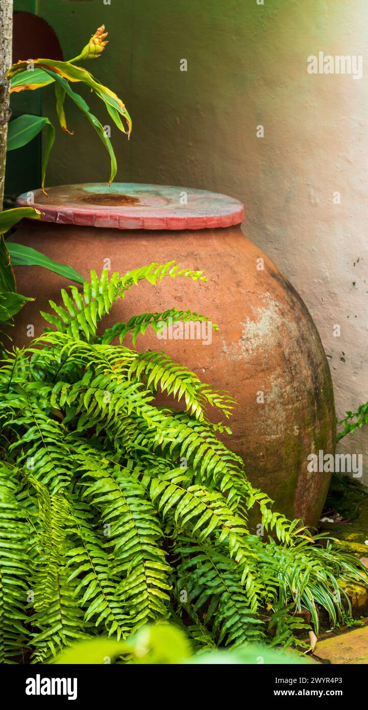 Shot of the traditional Cuban clay pot Stock Photo - Alamy