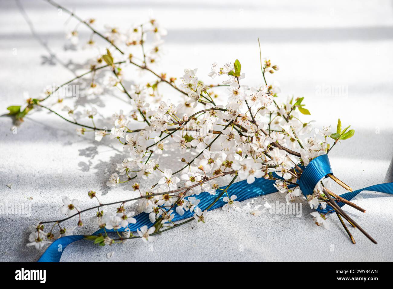 Bouquet with cherry blossom with blue ribbon Stock Photo - Alamy