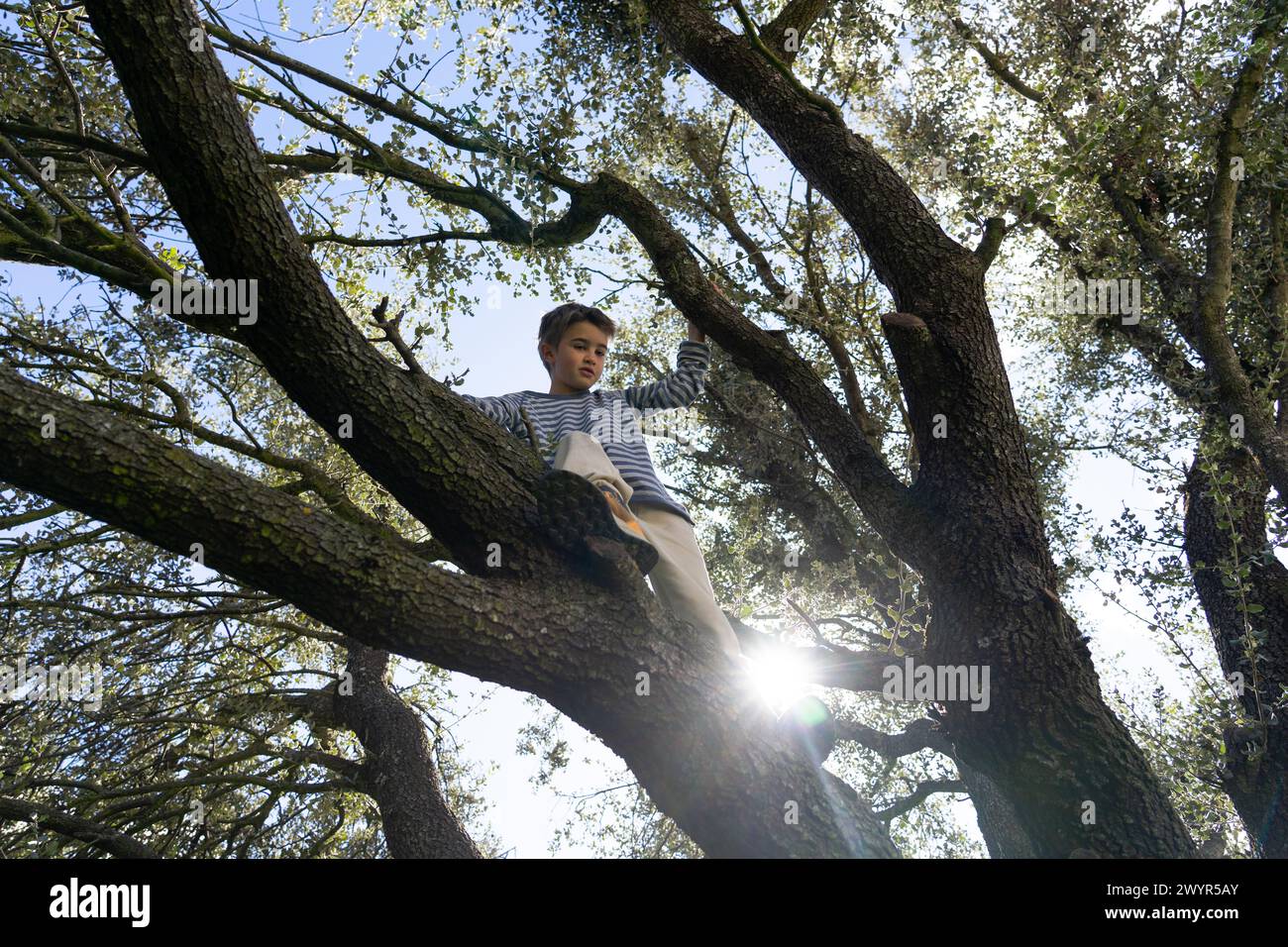 8 9 year old boy hi-res stock photography and images - Alamy
