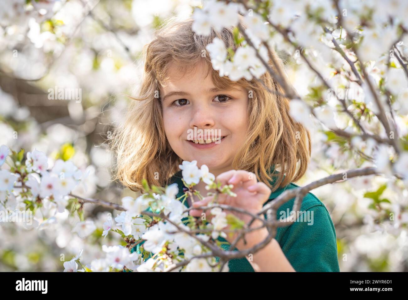 The spring holidays. Happy kid playing under blooming cherry tree with ...
