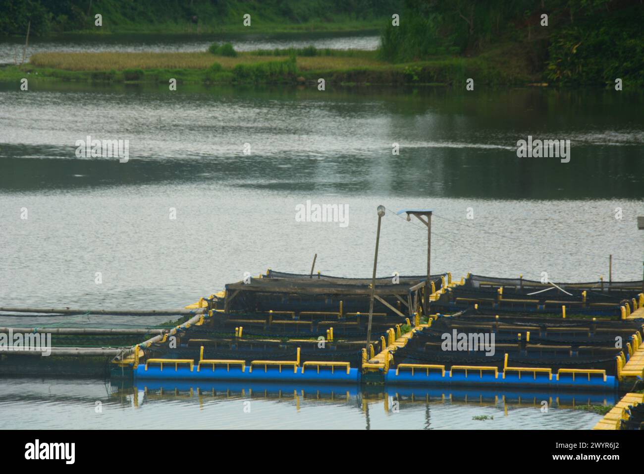 scene of fish ponds in the middle of the Wadaslintang dam in Wonosobo ...