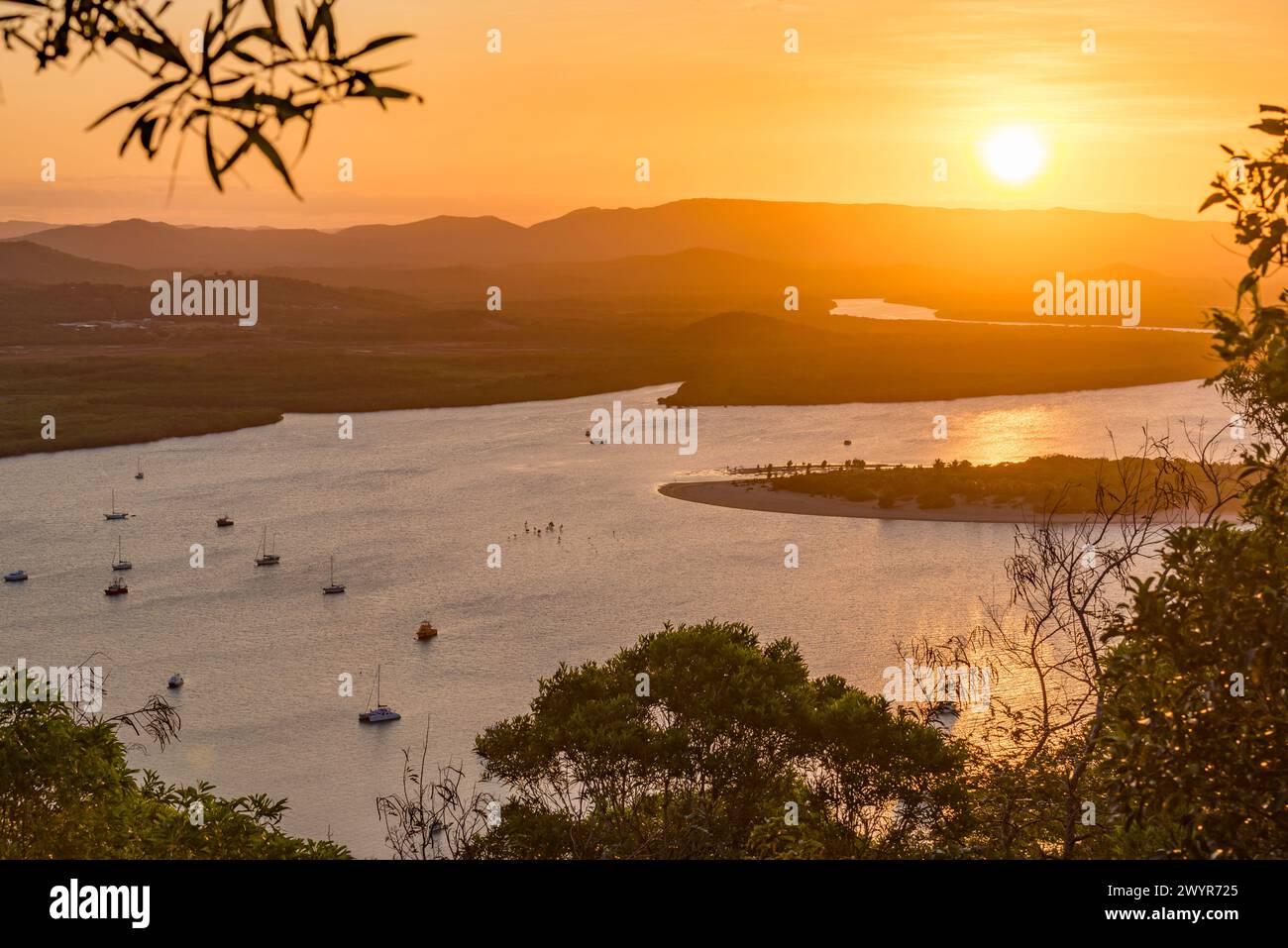 Mangrove forest forests queensland hi-res stock photography and images ...