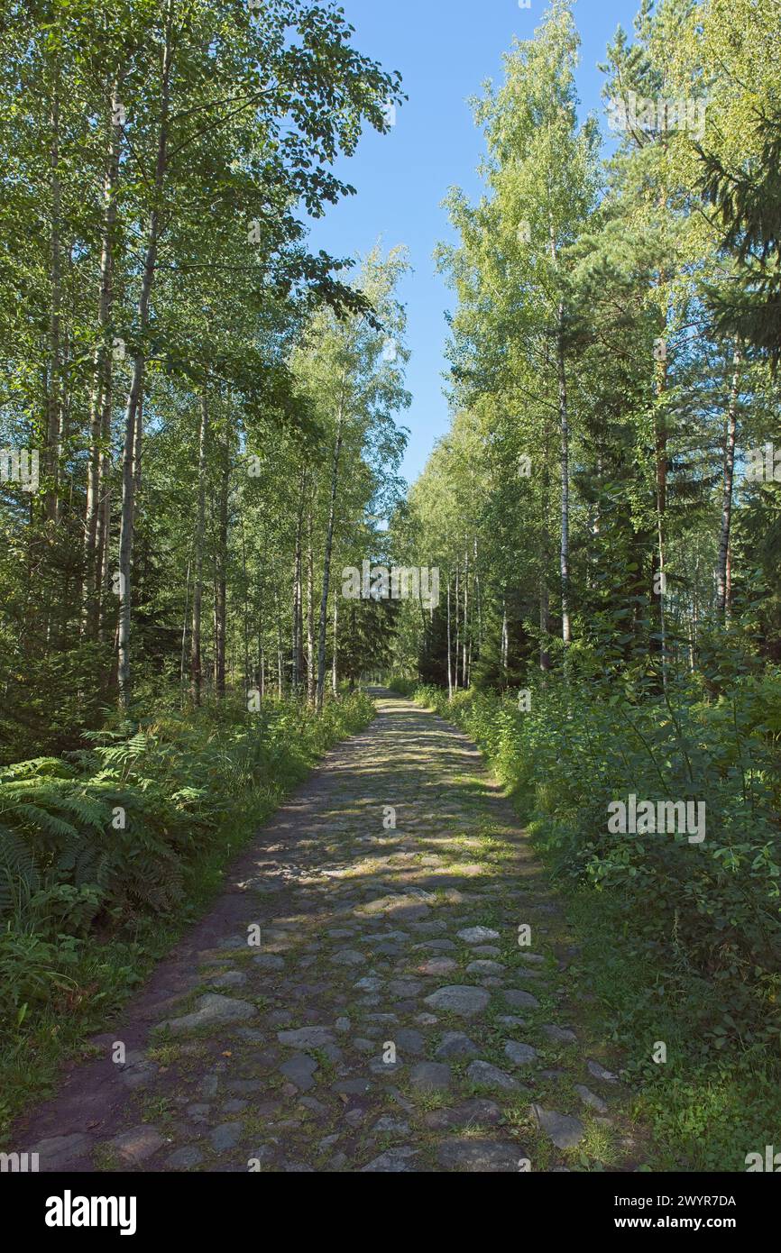 Old cobblestone path at Slåttmossen (oasis swamp) nature reserve in ...