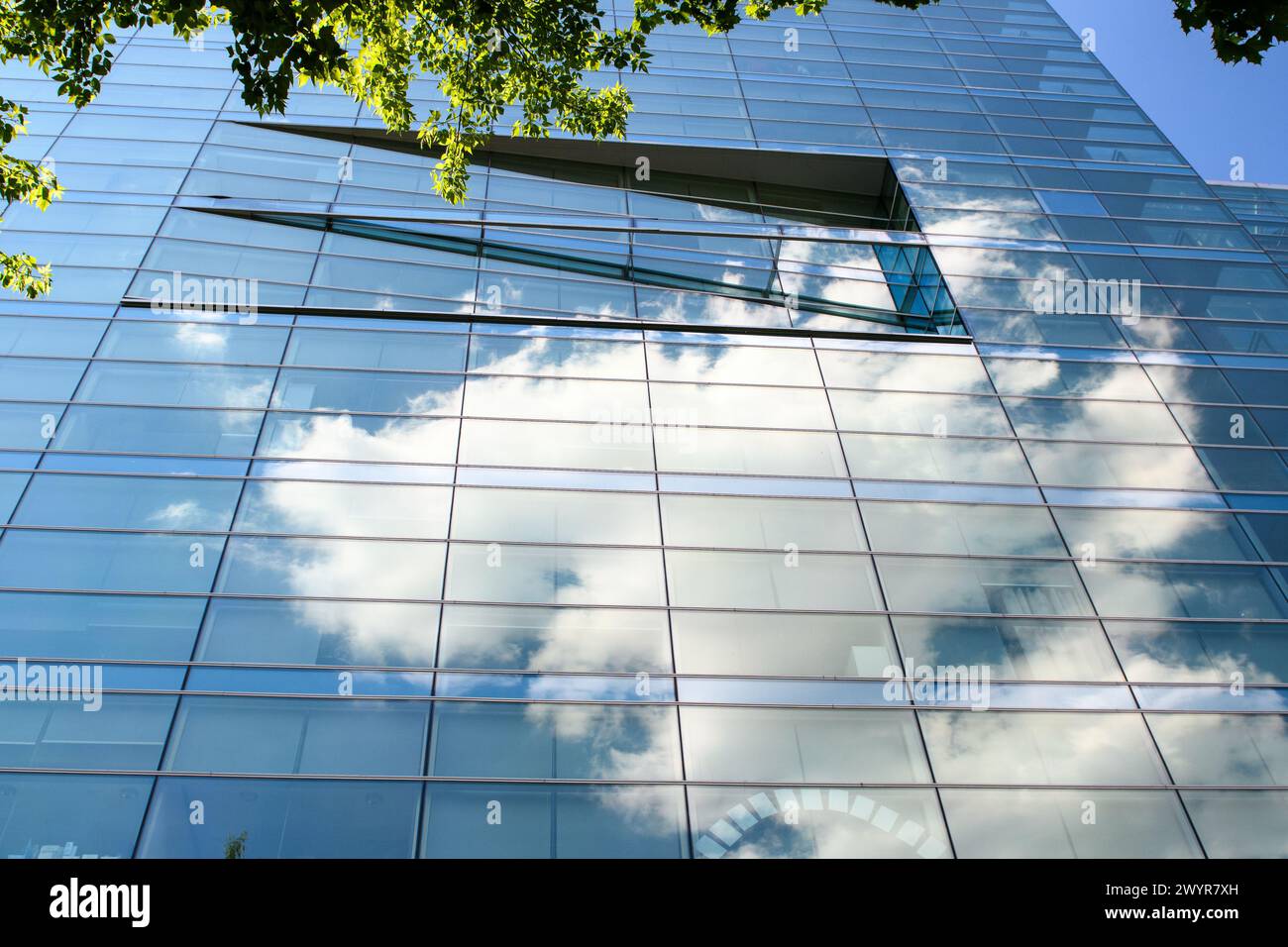 Reflection of the sky and clouds in the glazing of modern high-rise ...