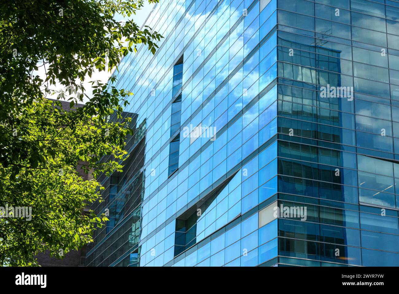 Reflection of the sky and clouds in the glazing of modern high-rise ...