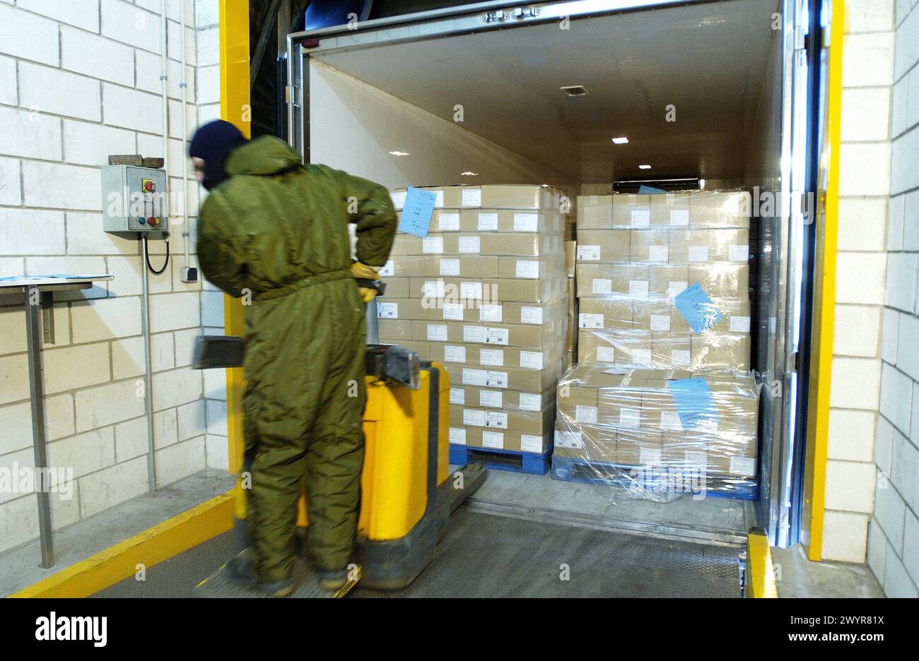 Frozen food industry, cold-storage area, loading a truck. Navarre ...