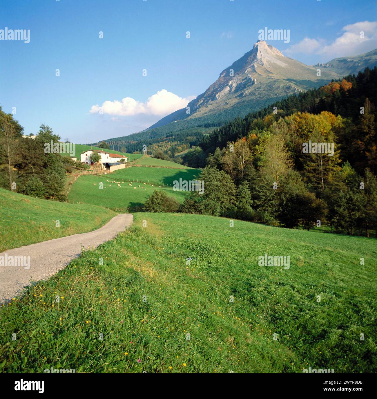 Monte Txindoki, Sierra de Aralar, Zaldibia, Guipúzcoa, Spain Stock ...
