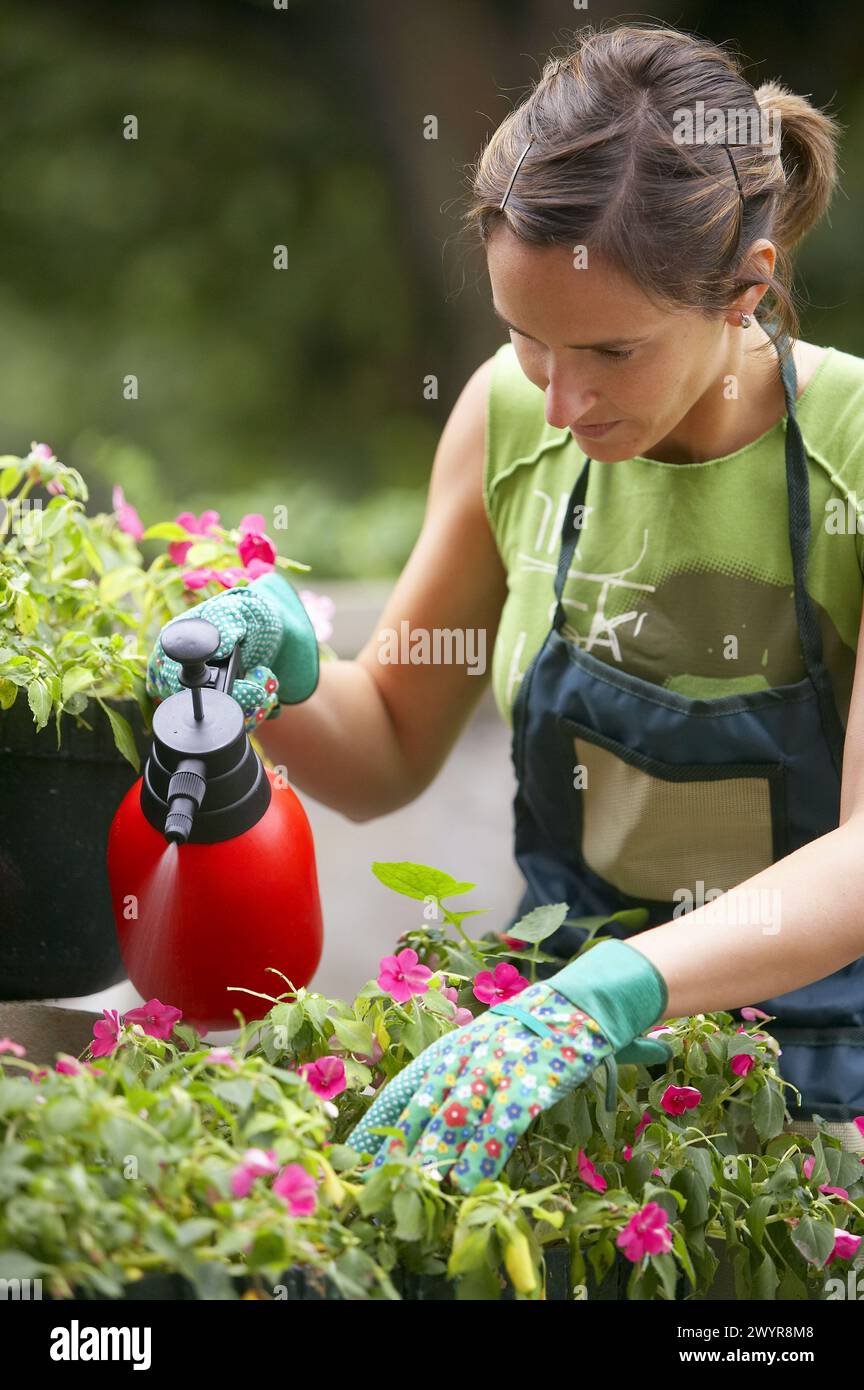 Woman using insecticide spray hi-res stock photography and images - Alamy