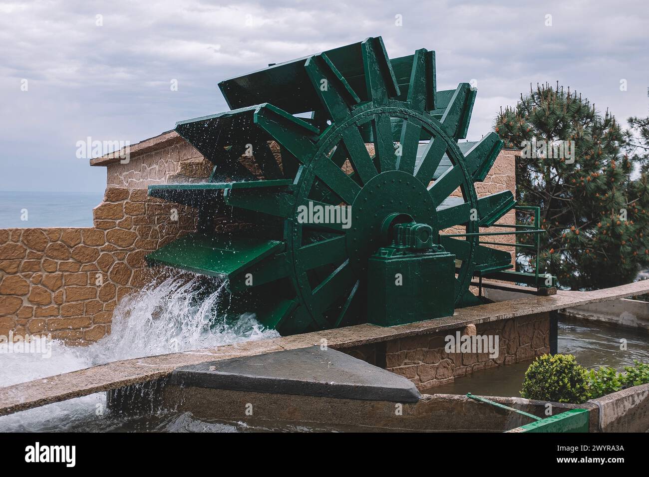 Pato de monte hi-res stock photography and images - Alamy