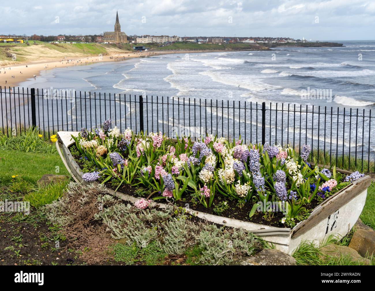 Tynemouth Longsands or Long Sands, North Tyneside, UK - daytime ...
