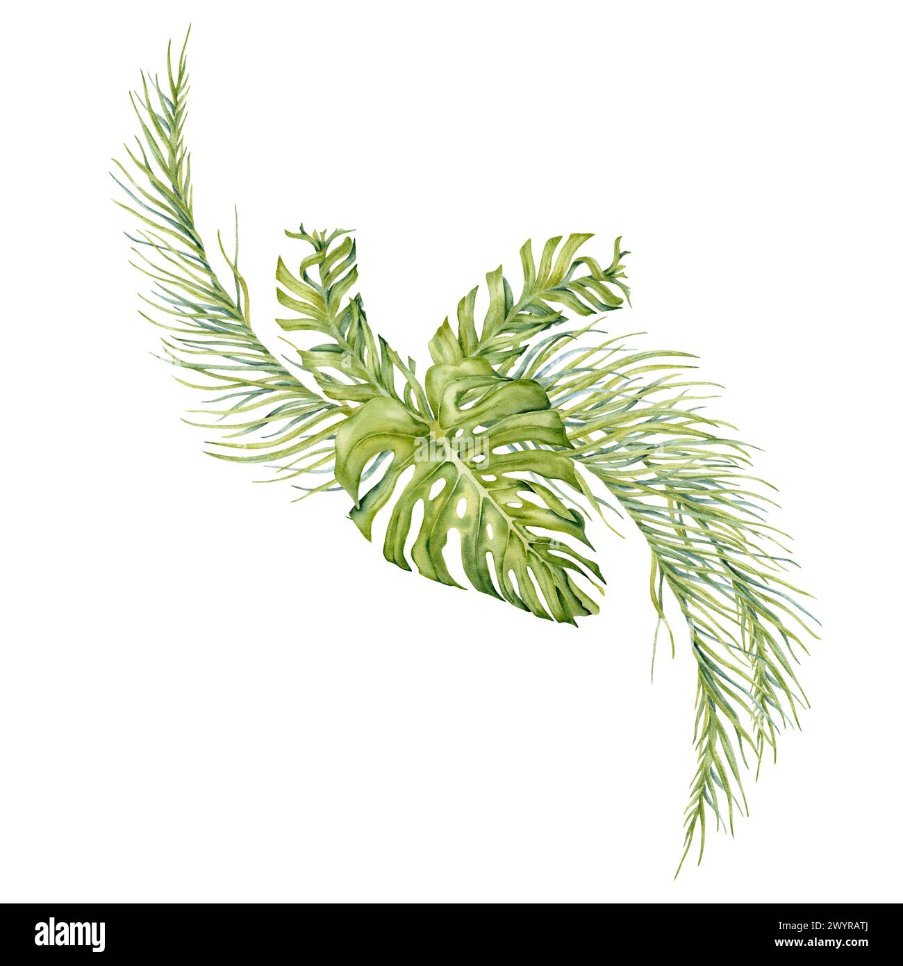Banana and lemon tree tropical leaves composition with monstera and ...