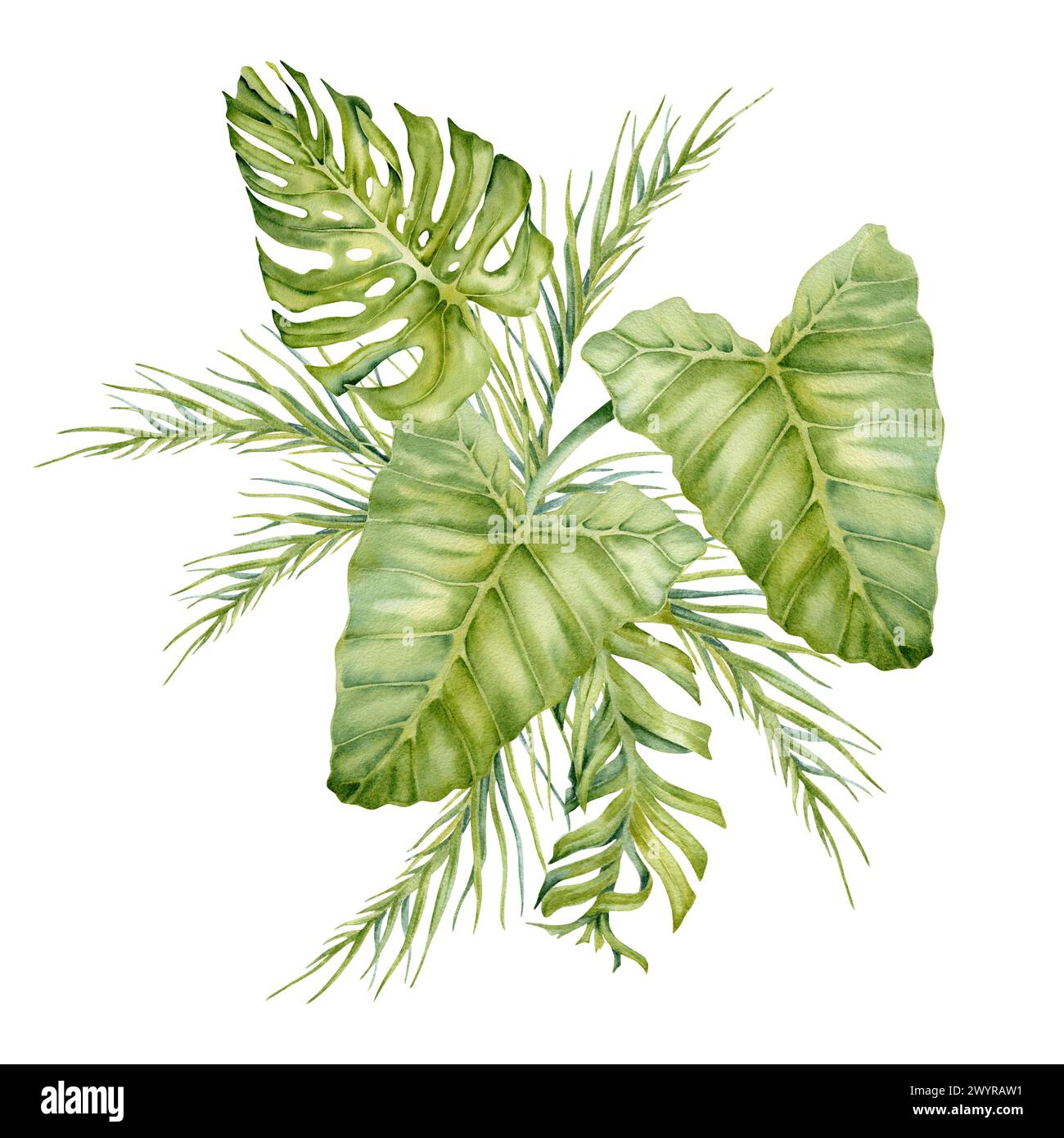 Banana and lemon tree tropical leaves composition with monstera and ...