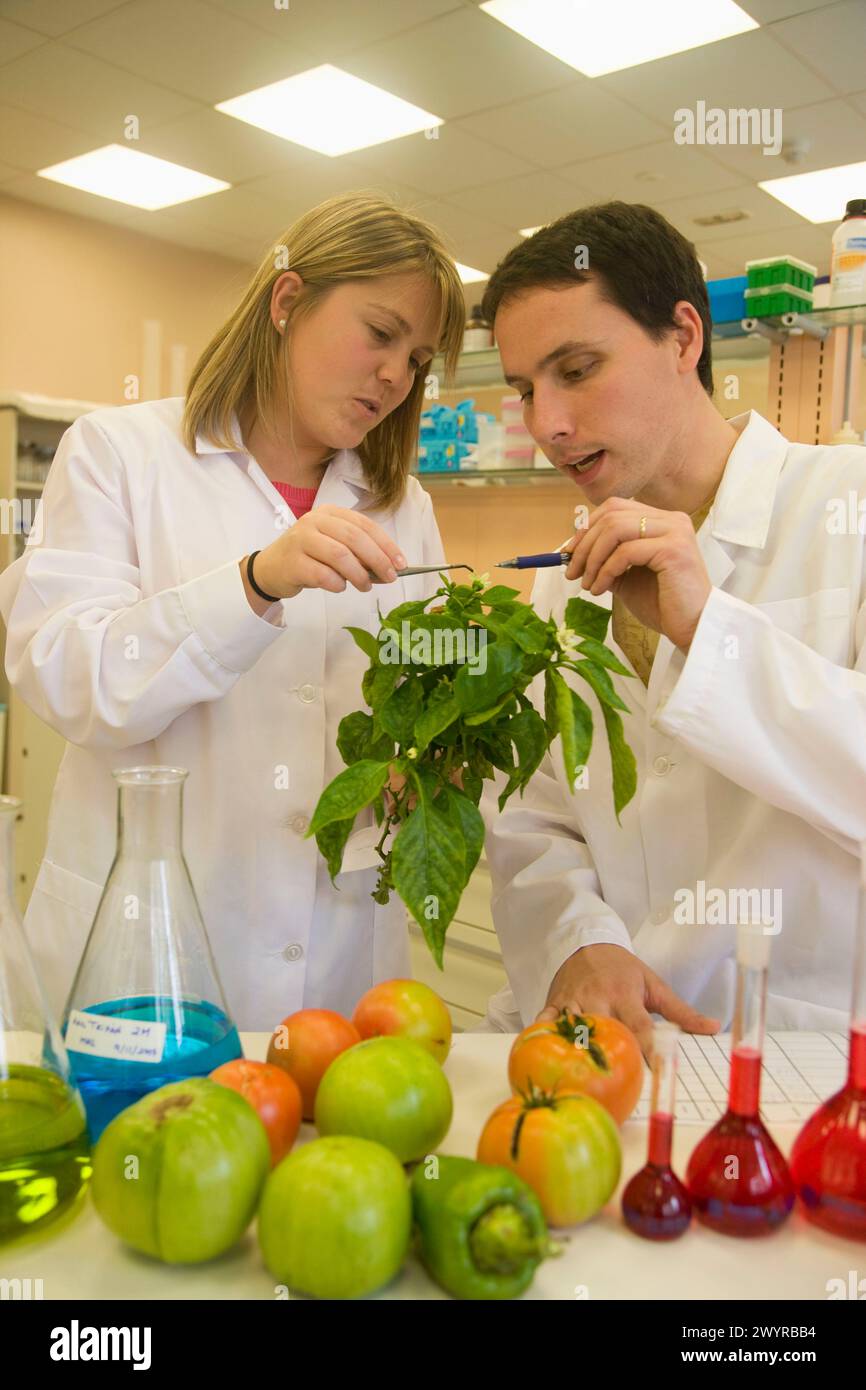 Taking sample of pepper plant, Laboratory of Horticulture, Departamento ...