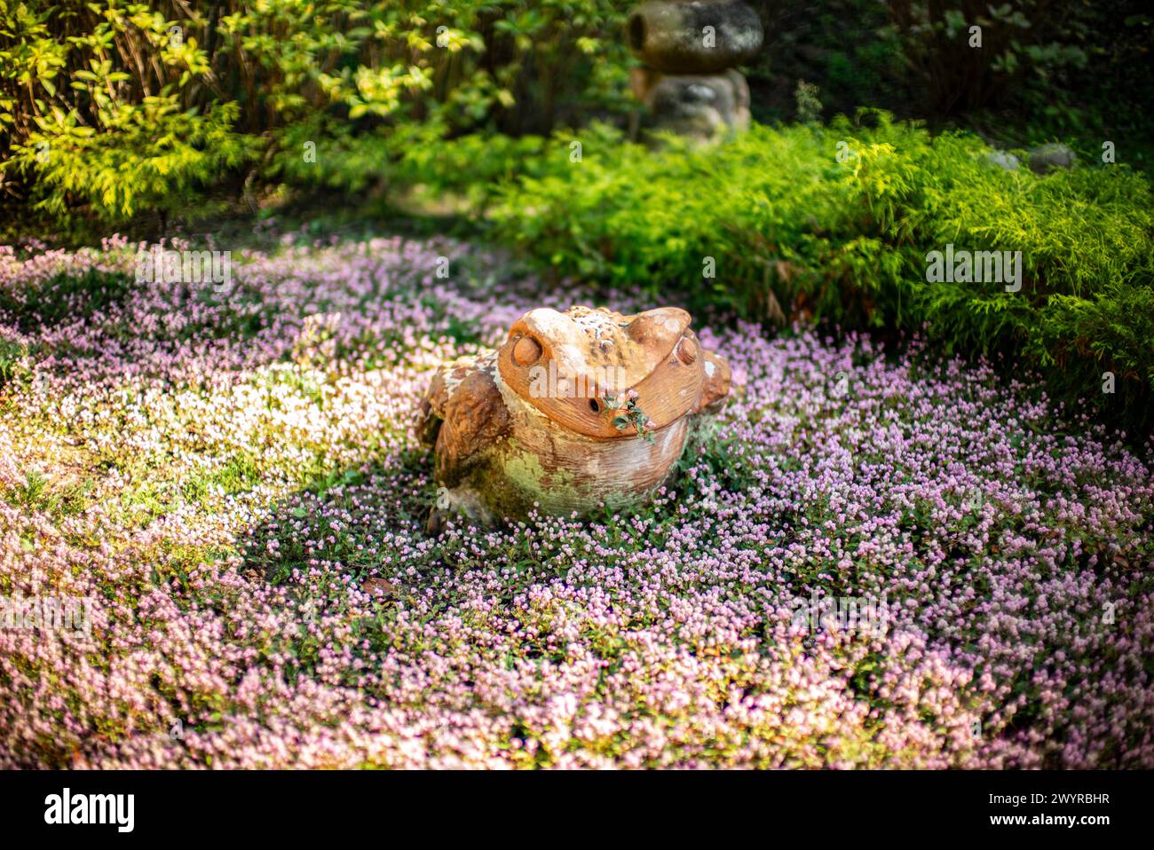 Floral display garden hi-res stock photography and images - Alamy