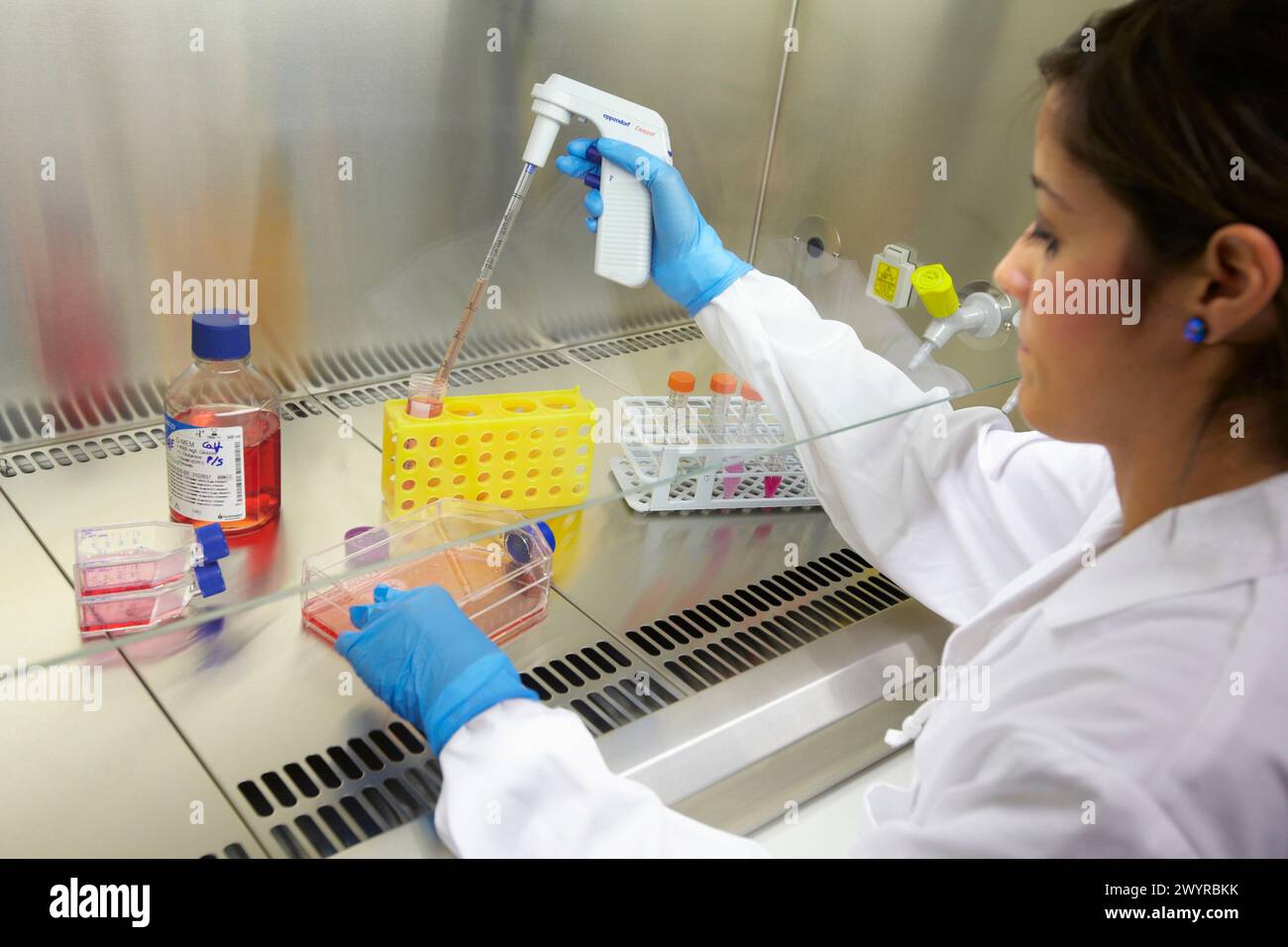 Culture science technology innovation park hi-res stock photography and ...