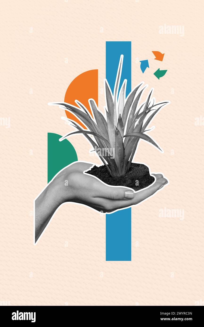 Vertical photo collage of hand hold ground plant conservation ...