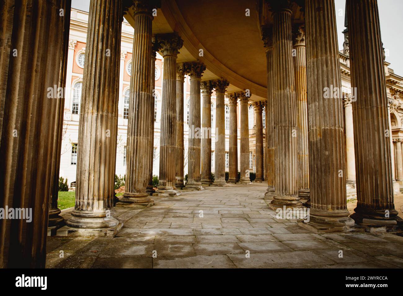 Set of classical Corinthian columns, adorned with intricate carvings ...