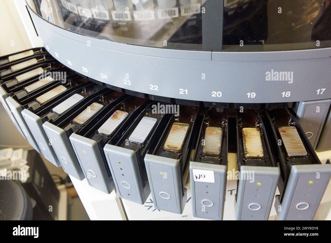 BenchMark IHC/ISH staining platforms automate the entire ...