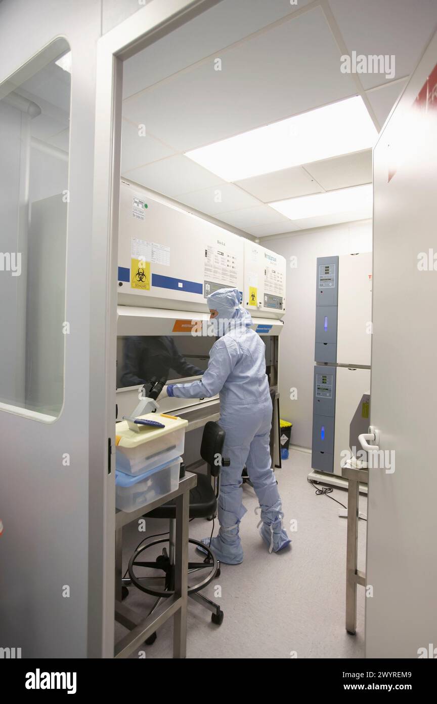 Biological safety cabinet. Production room, grade B. Clean room ...