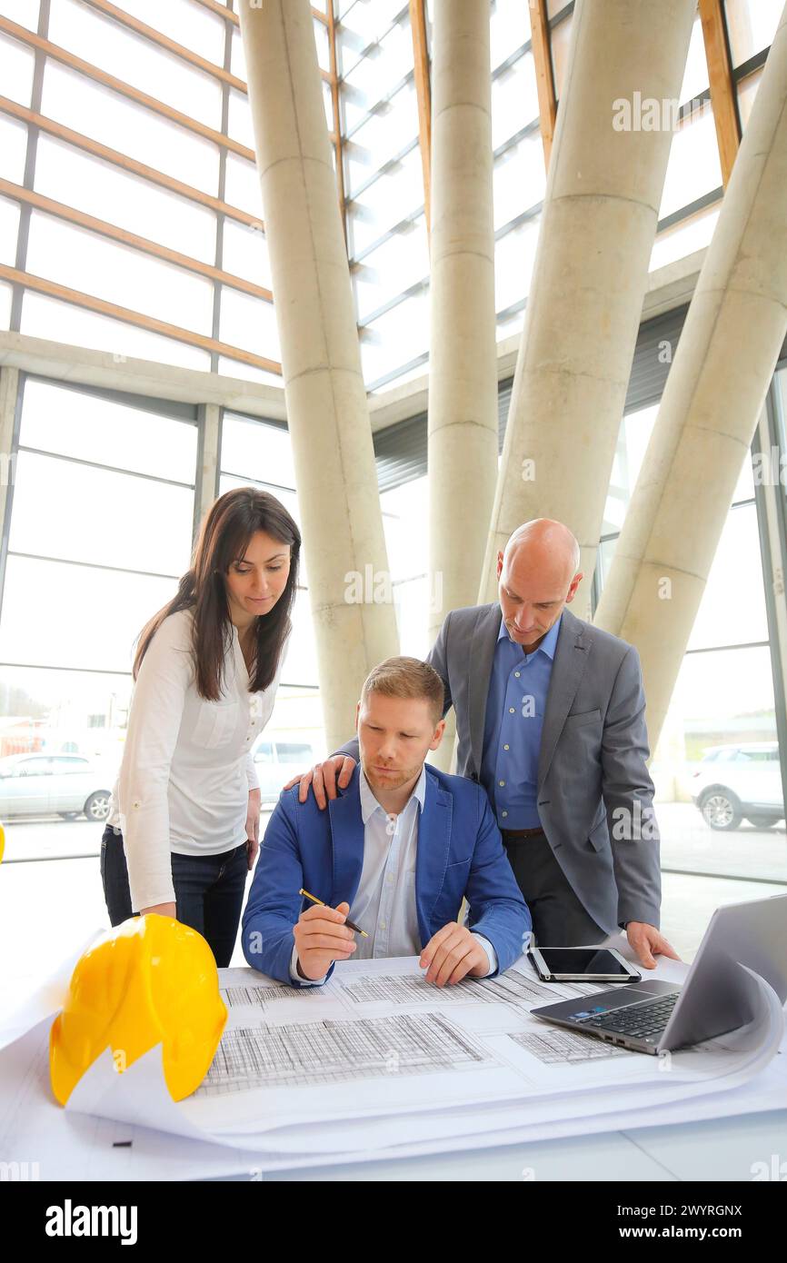 Architects looking at blueprints Stock Photo - Alamy