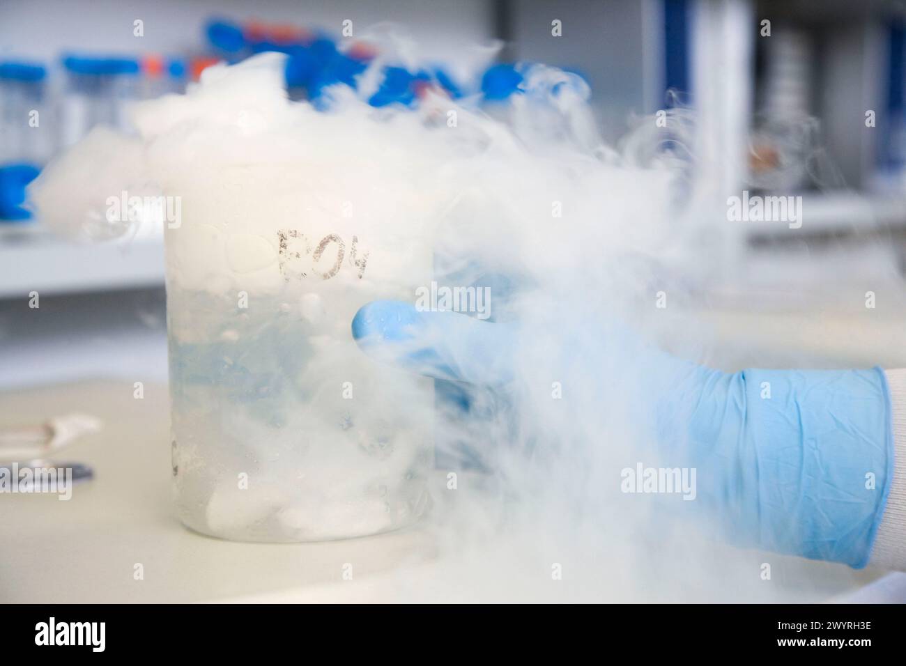 Dry ice for sample freezing, culture room, biopharmaceutical lab ...