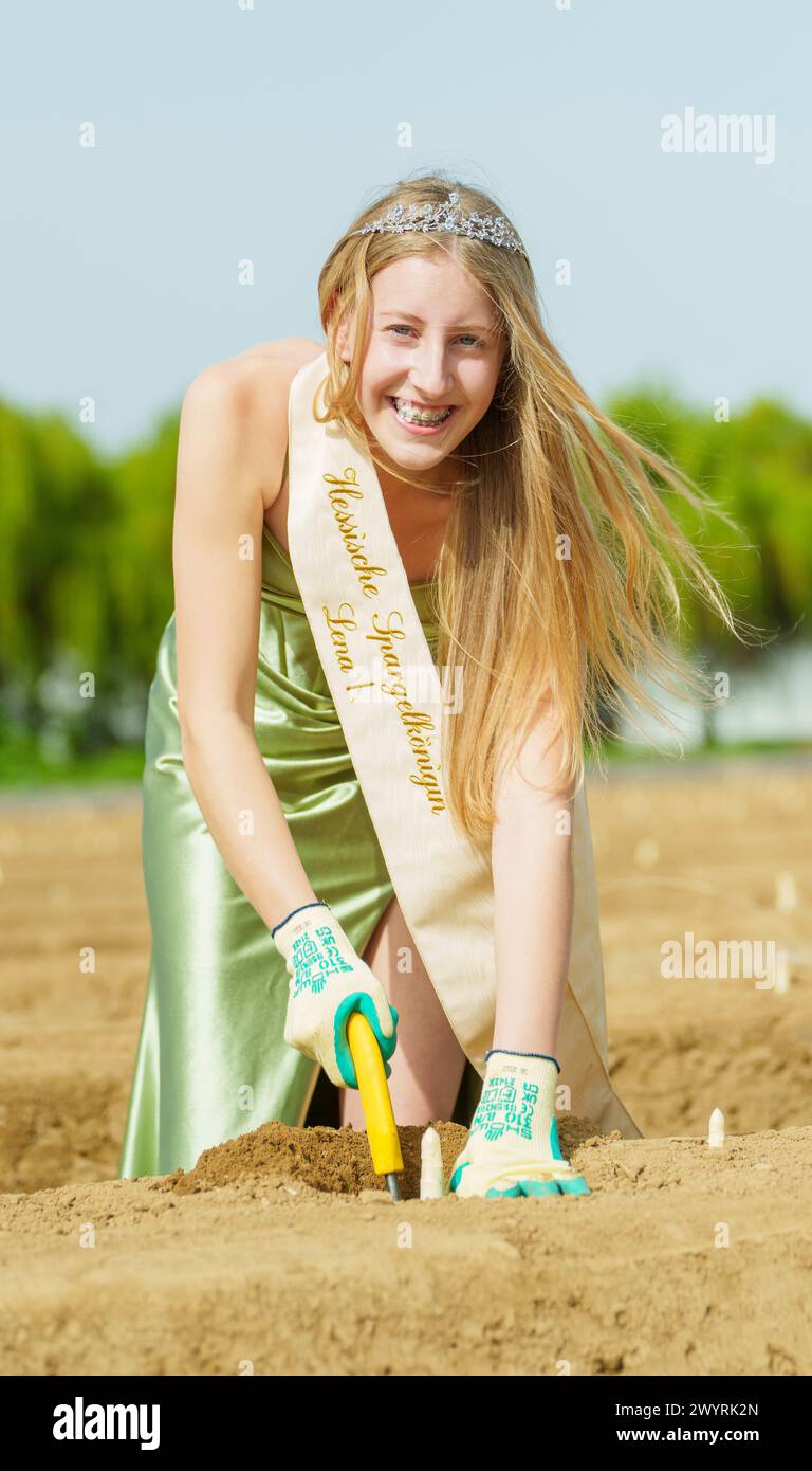 Zwingenberg, Germany. 08th Apr, 2024. Asparagus Queen Lena I, real name ...