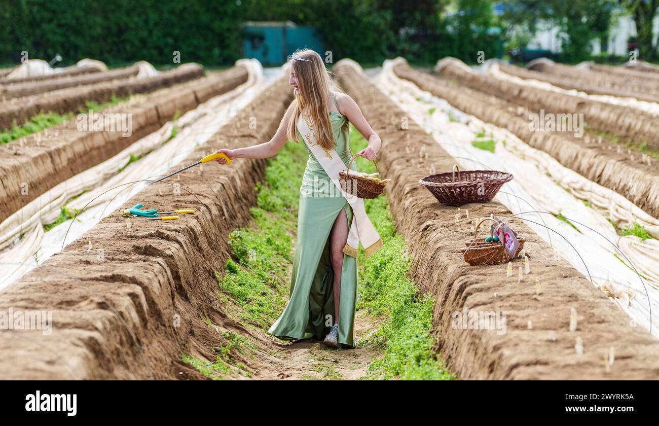 Zwingenberg, Germany. 08th Apr, 2024. Asparagus Queen Lena I, real name ...