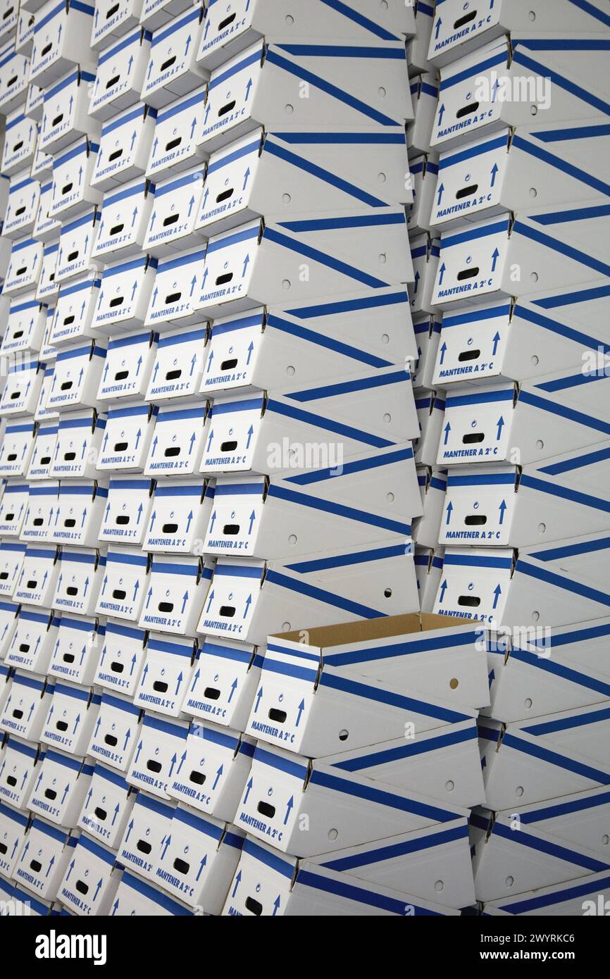 Packaging box, Agri-Food, Ayecue Fresh, Grupo Riberebro, Autol, La ...