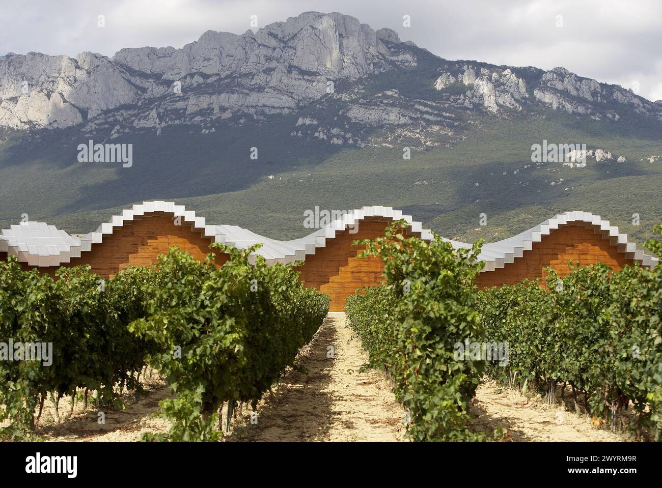 Ysios winery building design by Santiago Calatrava. Laguardia, Rioja ...