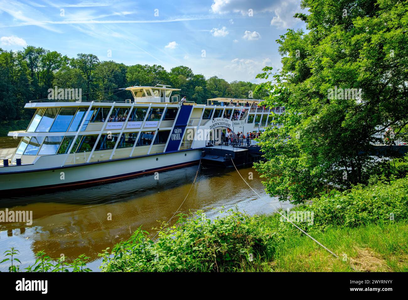 Pillnitz pallace hi-res stock photography and images - Alamy
