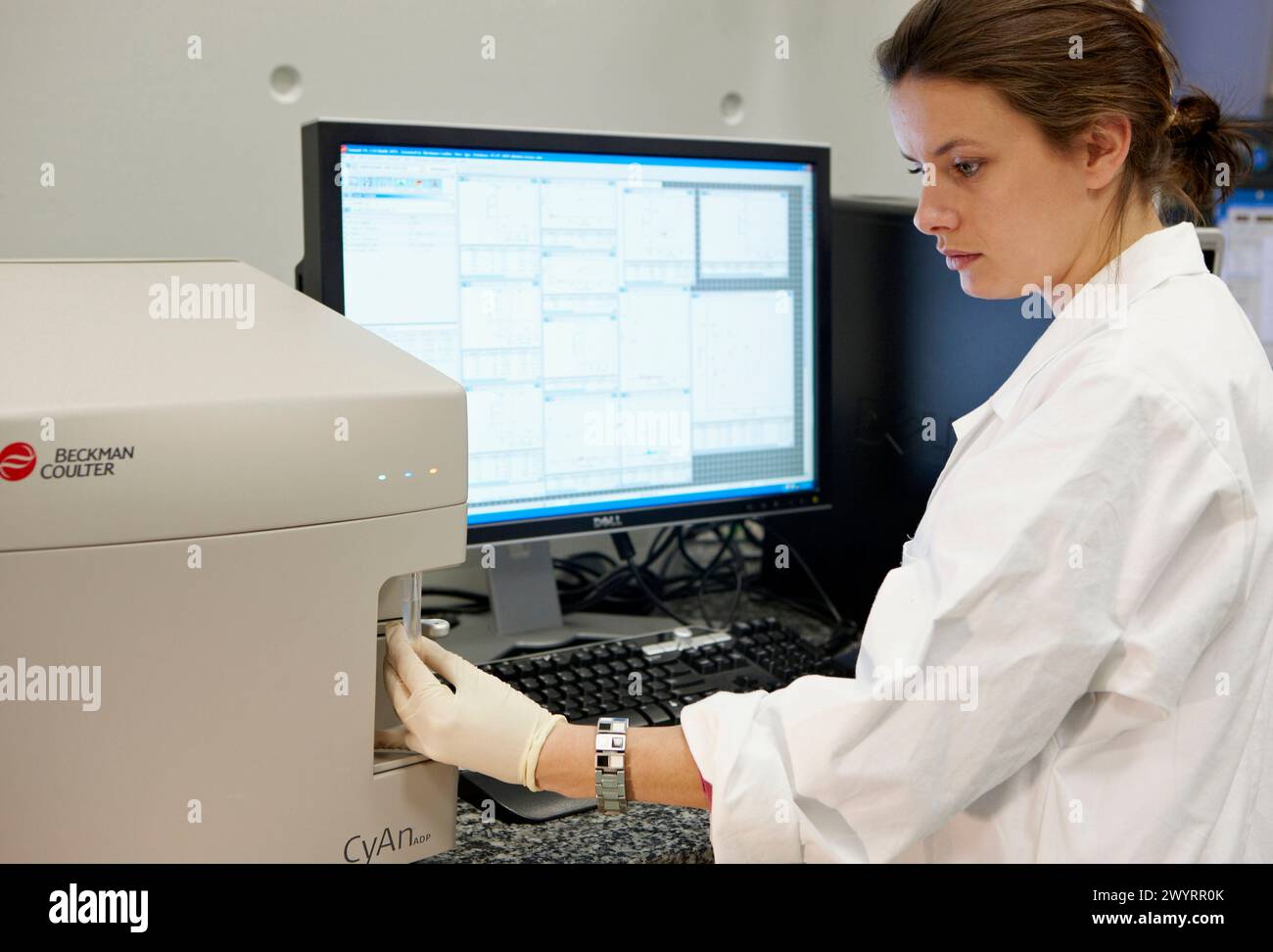 Analyzing sample using a flow cytometer, Characterization Laboratory ...