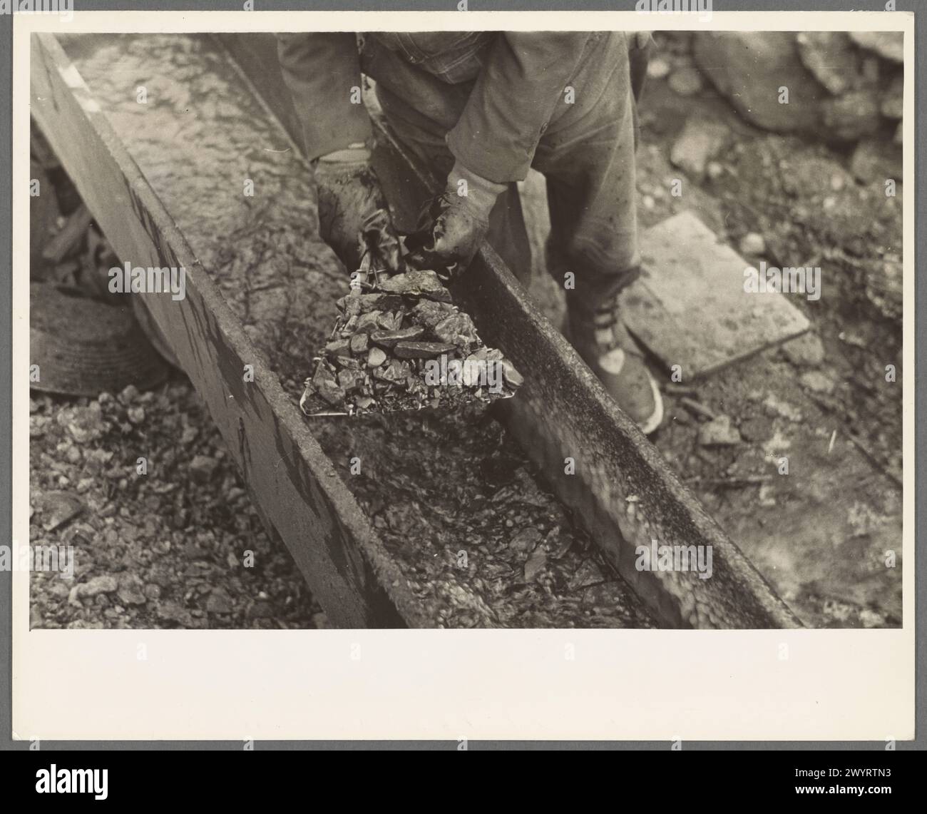 Gold miner working in sluice box, Two Bit Creek, South Dakota Stock ...