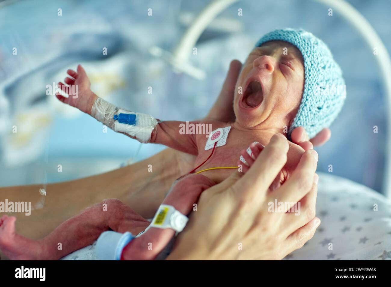 Nurse taking care of baby in the incubator, Neonatal pediatrics ...