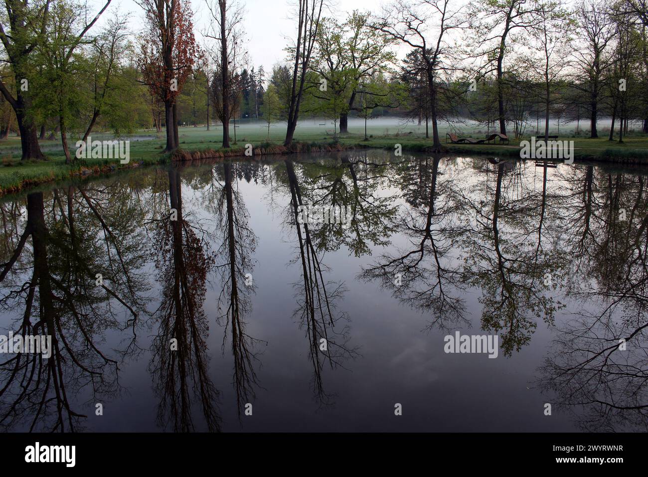 Morning fog in Prague's Stromovka park, Prague, Czech Republic, April 7 ...