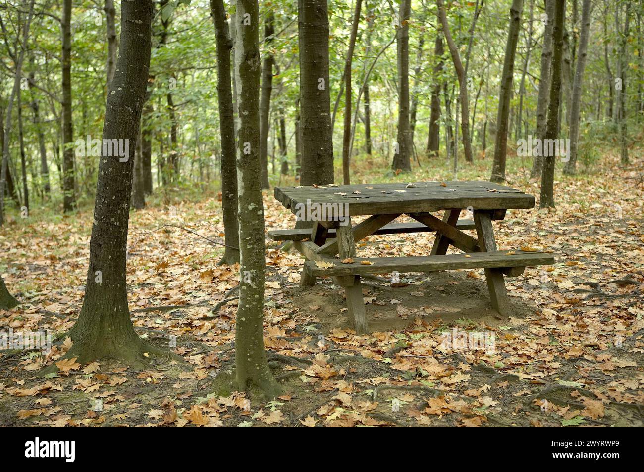 Pagoeta Natural Park, Aia. Guipuzcoa, Euskadi, Spain Stock Photo - Alamy