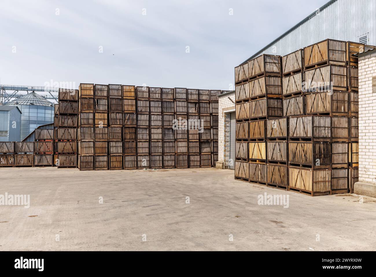 rows of wooden crates boxes and pallets for fruits and vegetables in ...