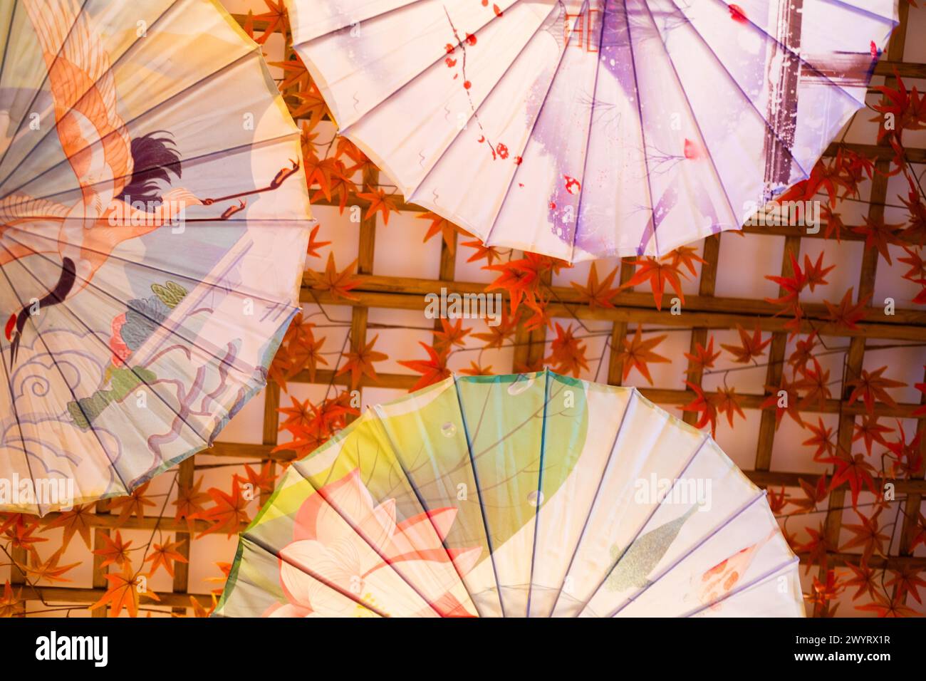 A composition based on four very colourful and warm Asian designs ...