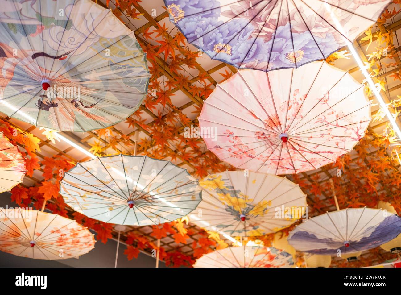 A composition based on four very colourful and warm Asian designs ...