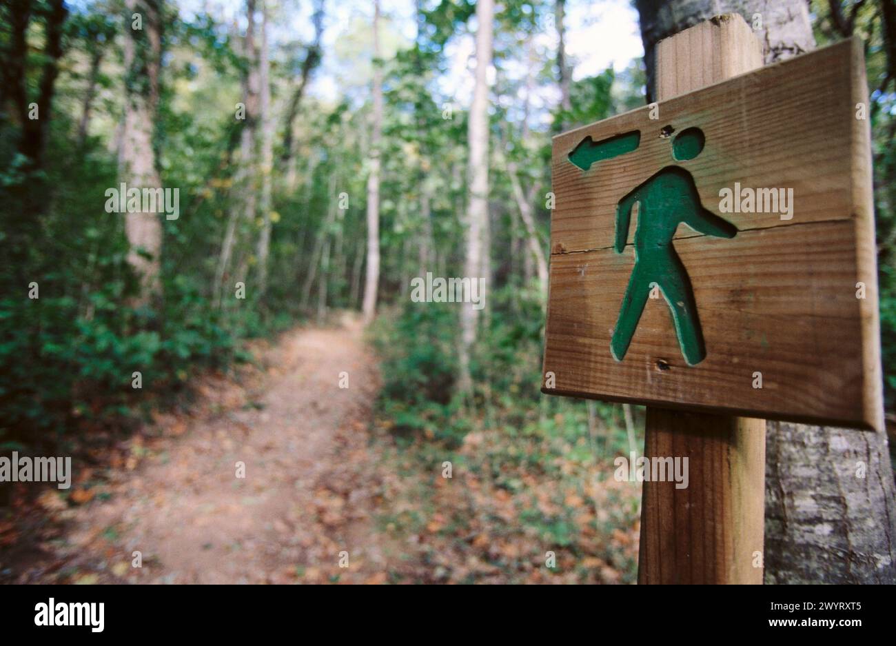 Escape de arco hi-res stock photography and images - Alamy