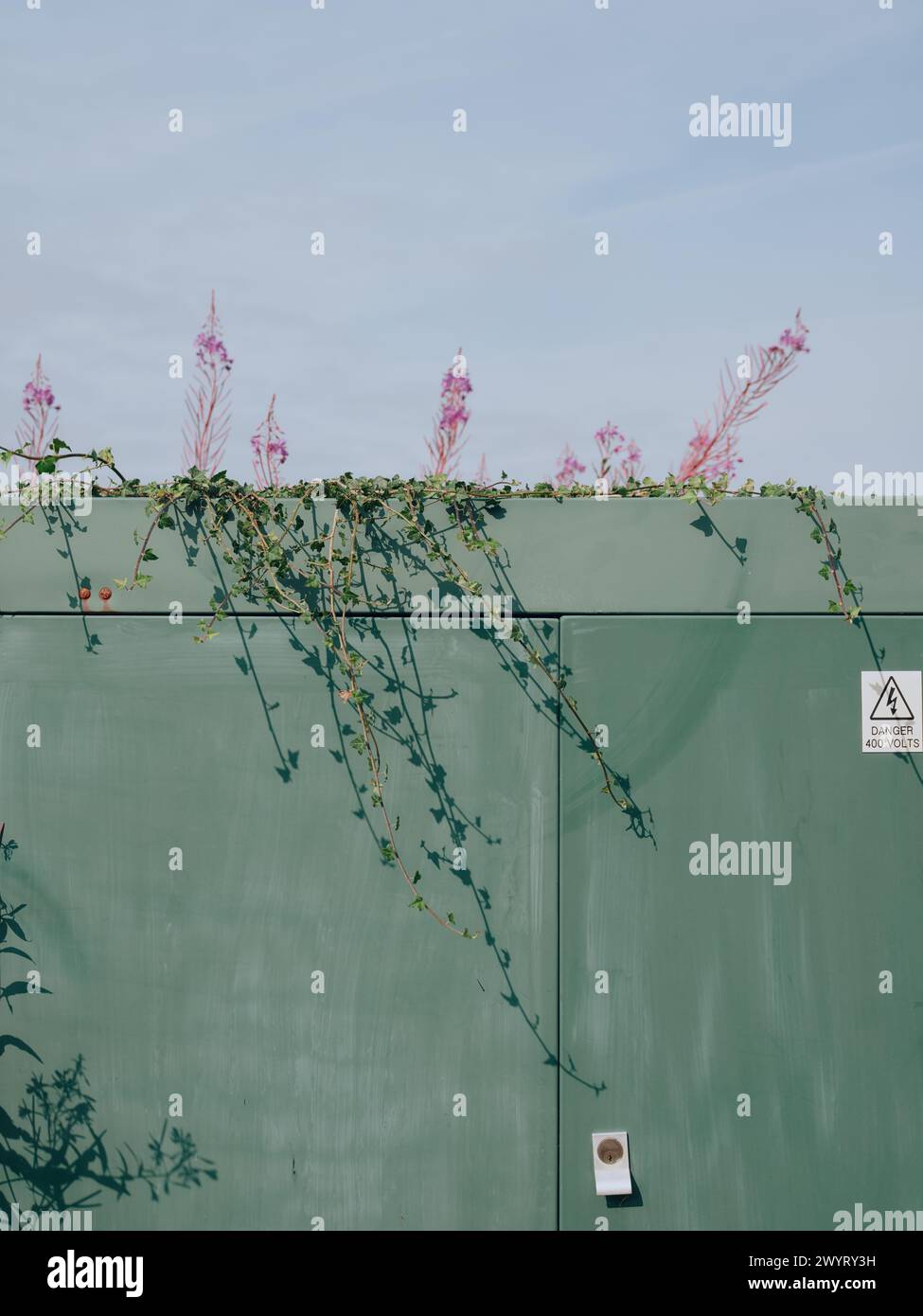 Plants growing on a green electrical meter box detail - man & nature ...