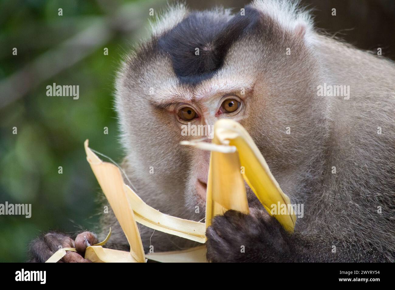 Rule of thirds in photography hi-res stock photography and images - Alamy