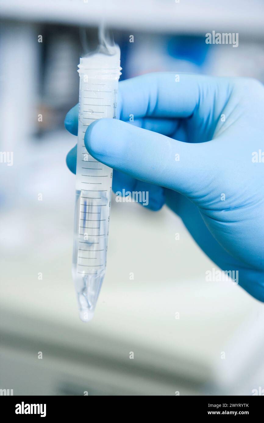 Dry ice for sample freezing, culture room, biopharmaceutical lab ...