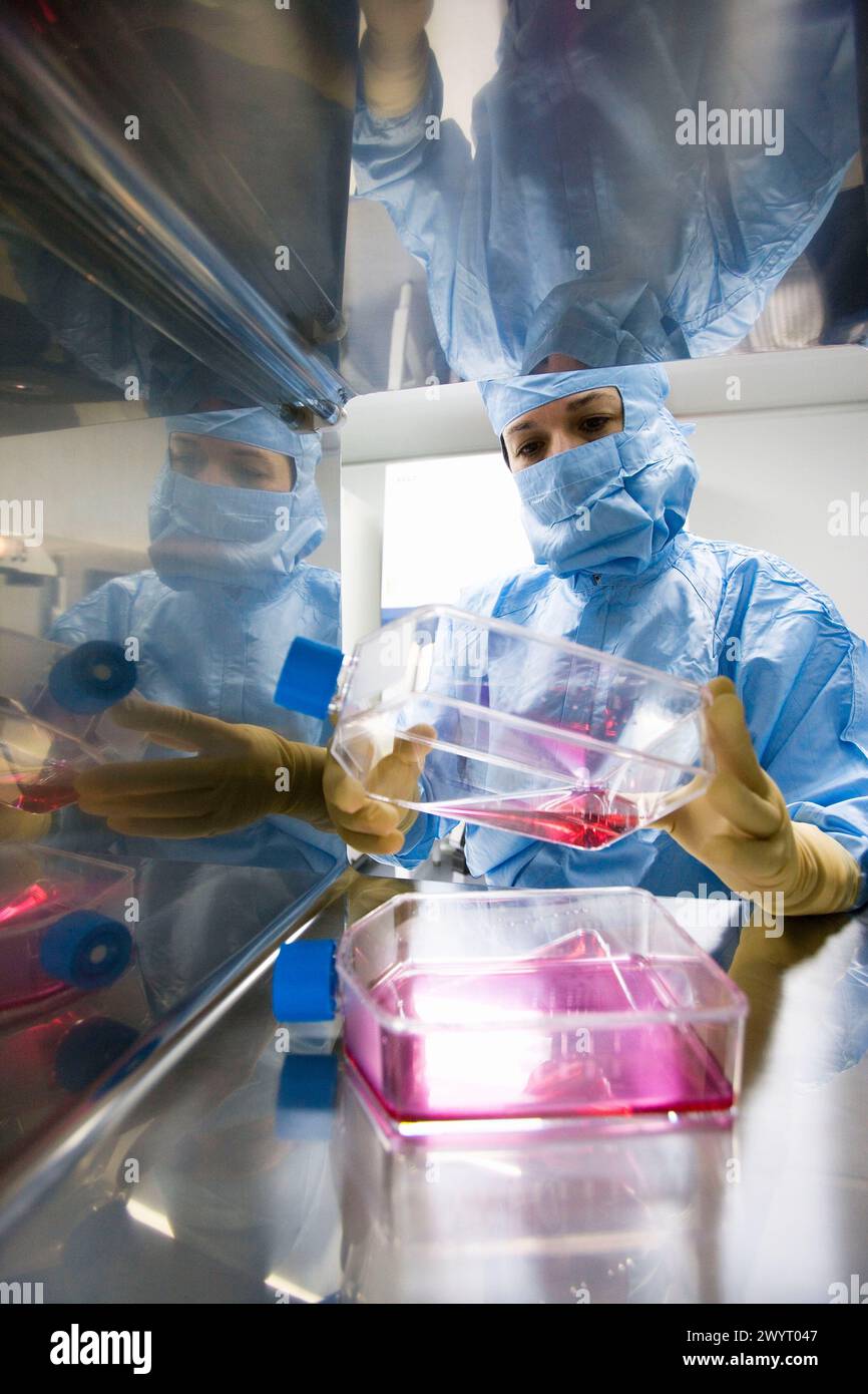 Grupo sas hi-res stock photography and images - Alamy