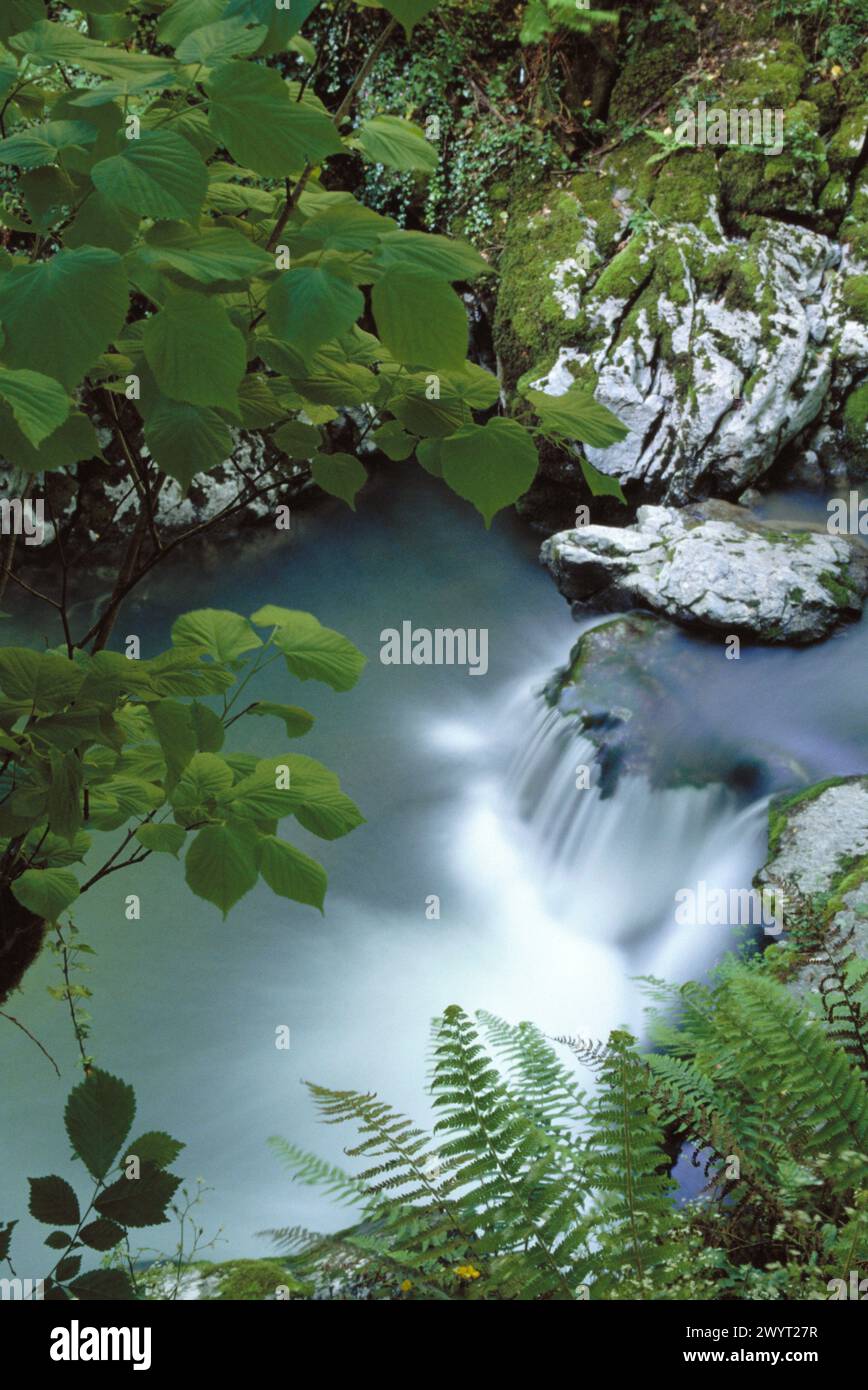 Deva River. Aranzazu. Guipúzcoa. Spain Stock Photo - Alamy